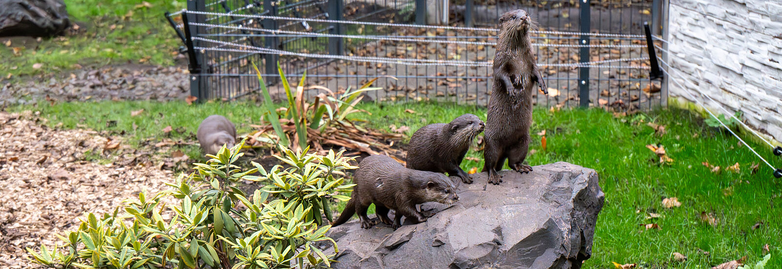 Öffnungszeiten | Tierpark Gotha